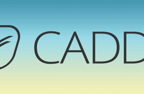 Cómo instalar Caddy Web Server con PHP-FPM en Ubuntu | Noticias de ...